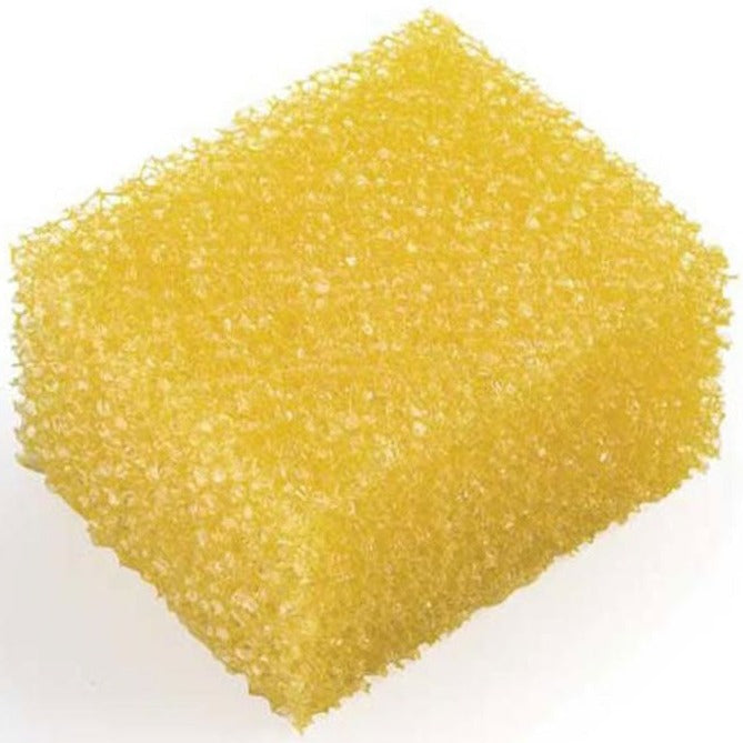 Body Choice - Exfoliating Sponge – Madz Nail & Beauty